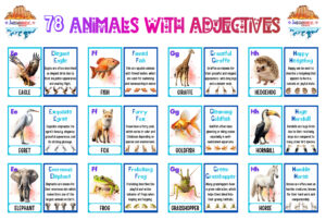 Flashcards: 78 Adjective Animals (A-Z) - Teacher Heng: Insightful Educator
