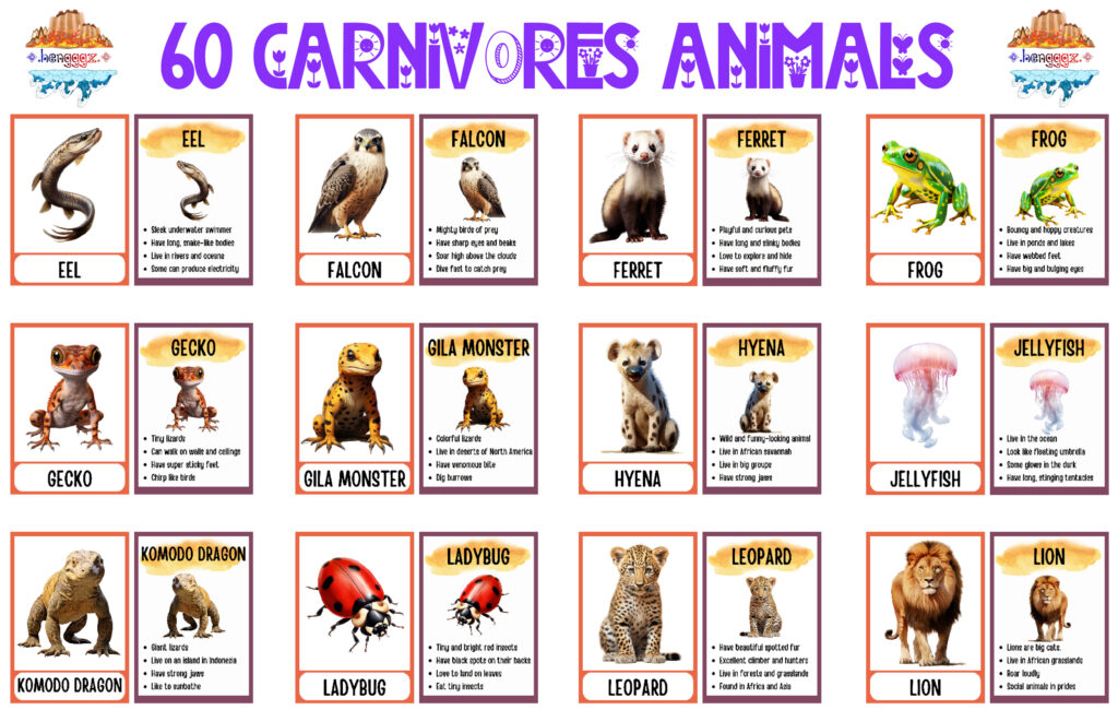 Flashcards: 60 Carnivorous Animals - Teacher Heng: Insightful Educator