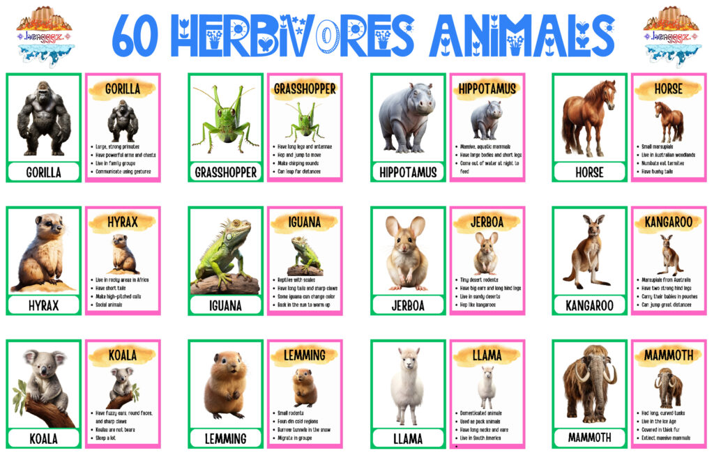 Flashcards: 60 Herbivorous Animals - Teacher Heng: Insightful Educator