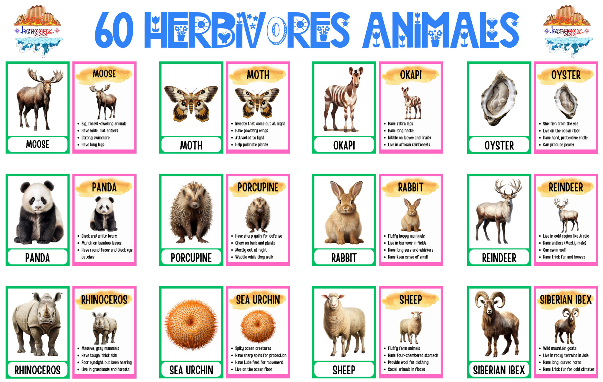 Flashcards: 60 Herbivorous Animals - Teacher Heng: Insightful Educator