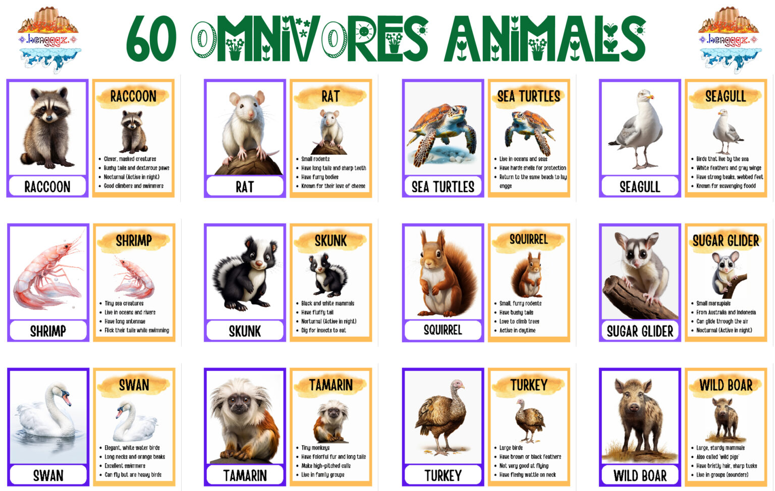 Flashcards: 60 Omnivorous Animals - Teacher Heng: Insightful Educator